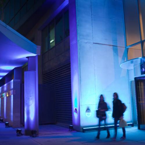 Online Studies | Johns Hopkins University