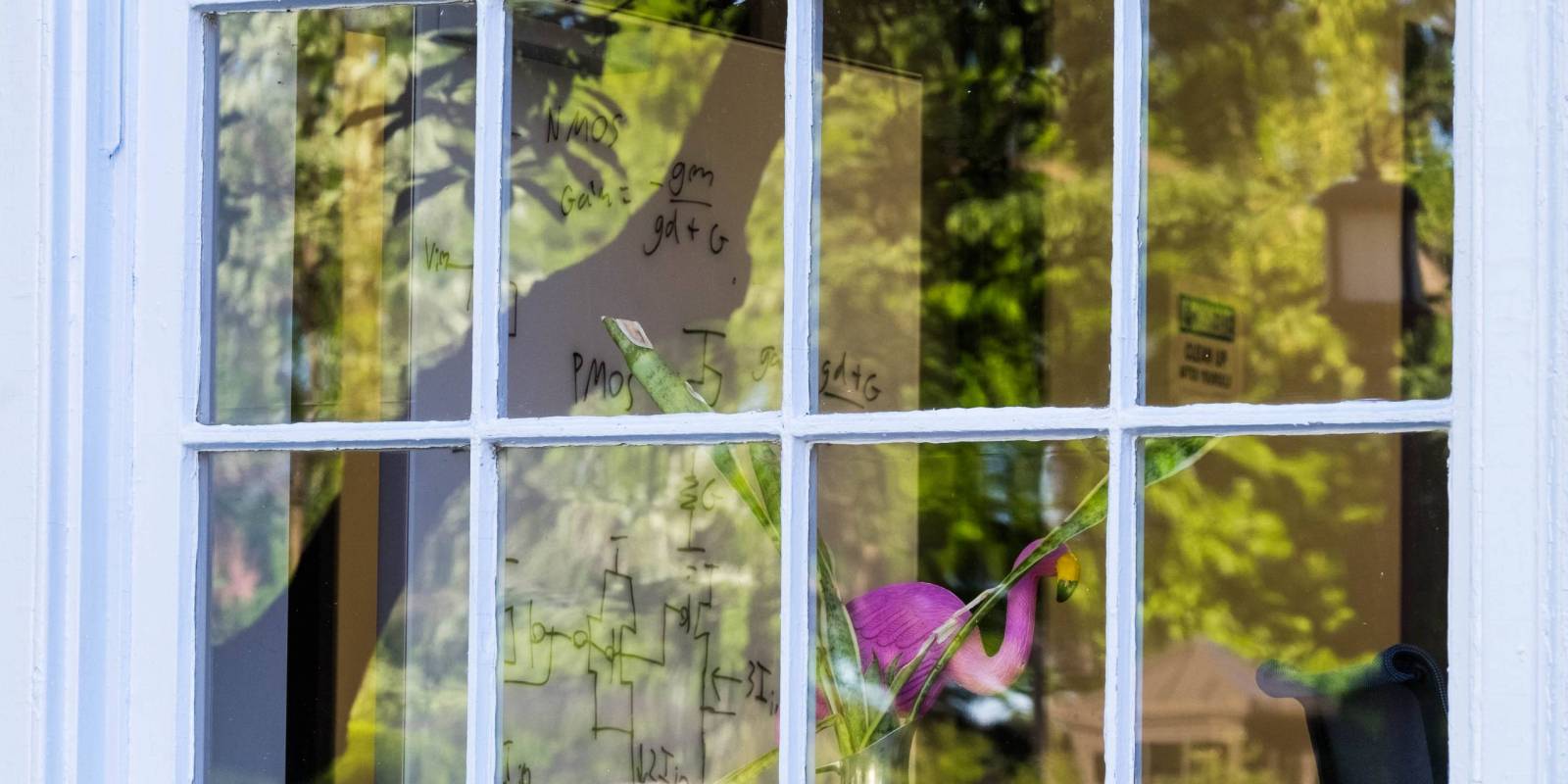 Summer Programs | Johns Hopkins University