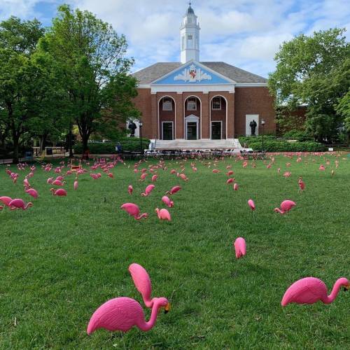 Home | Johns Hopkins University