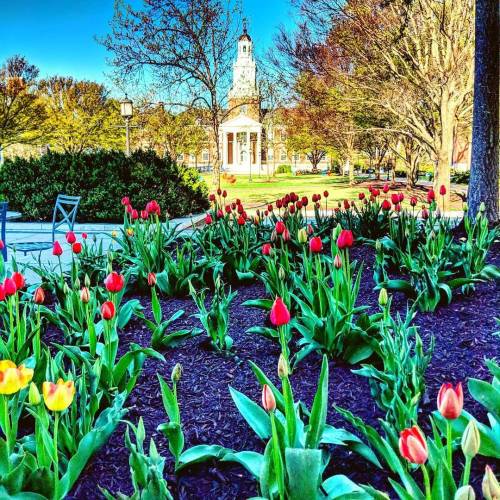 Home | Johns Hopkins University