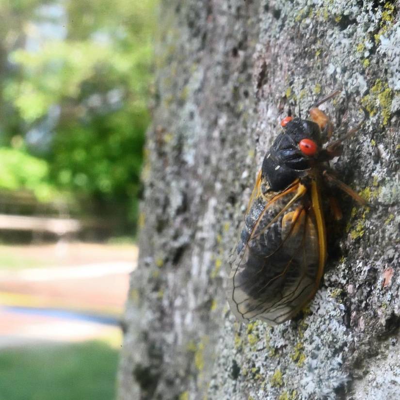 Home | Johns Hopkins University